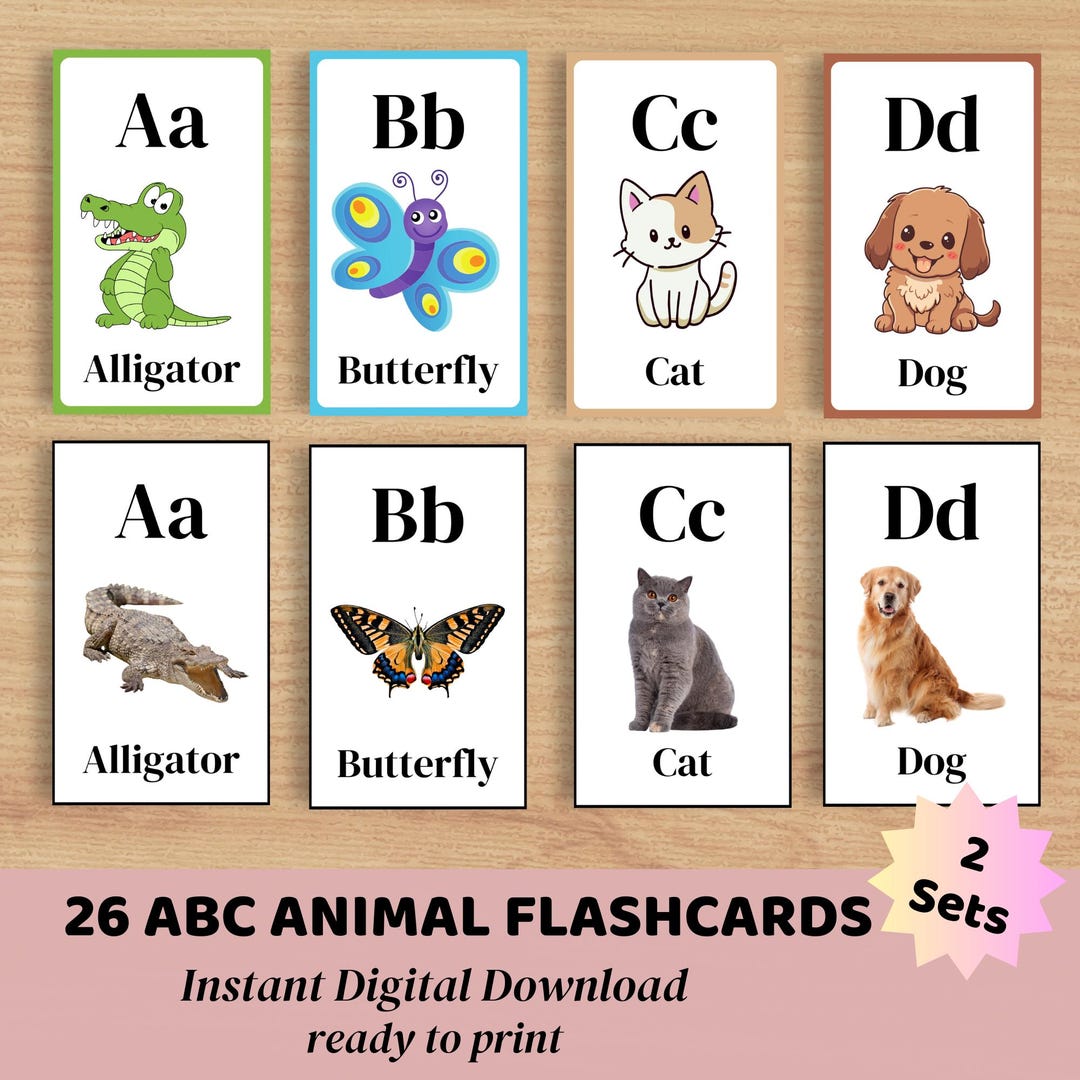 Letter Recognition For Kindergarten Quokka 104 Animal Flash Cards ...