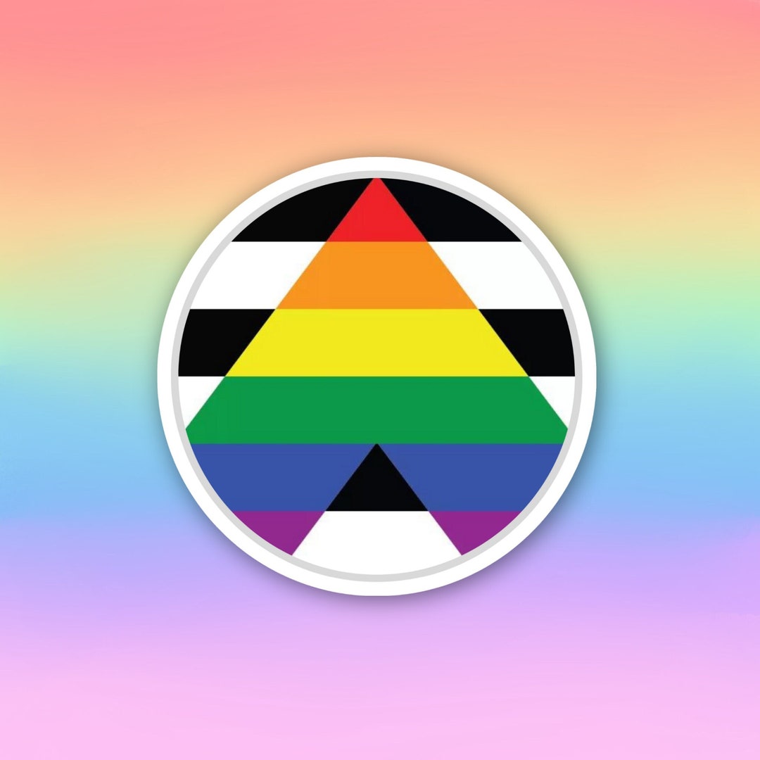 Autocollant rond en vinyle drapeau LGBTQIA+ Ally - Usage intérieur ...