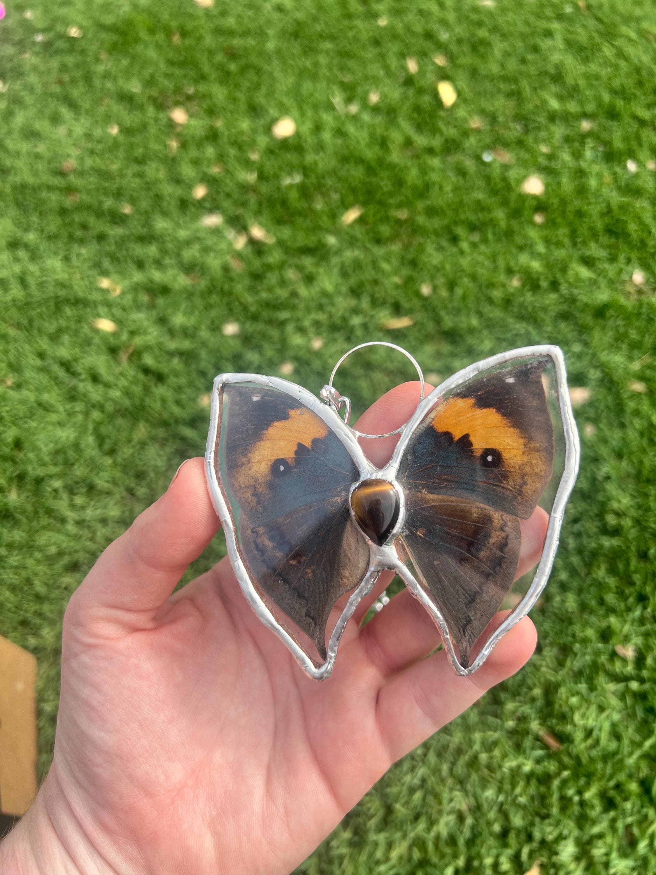 Reall Butterfly Wing Necklace - Etsy
