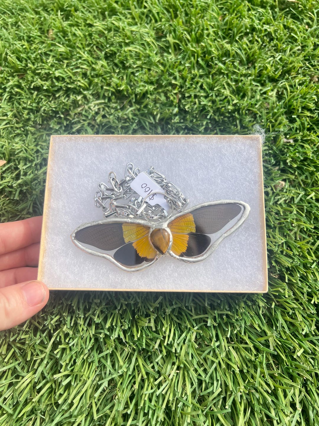 Cicada Wing Necklace - Etsy