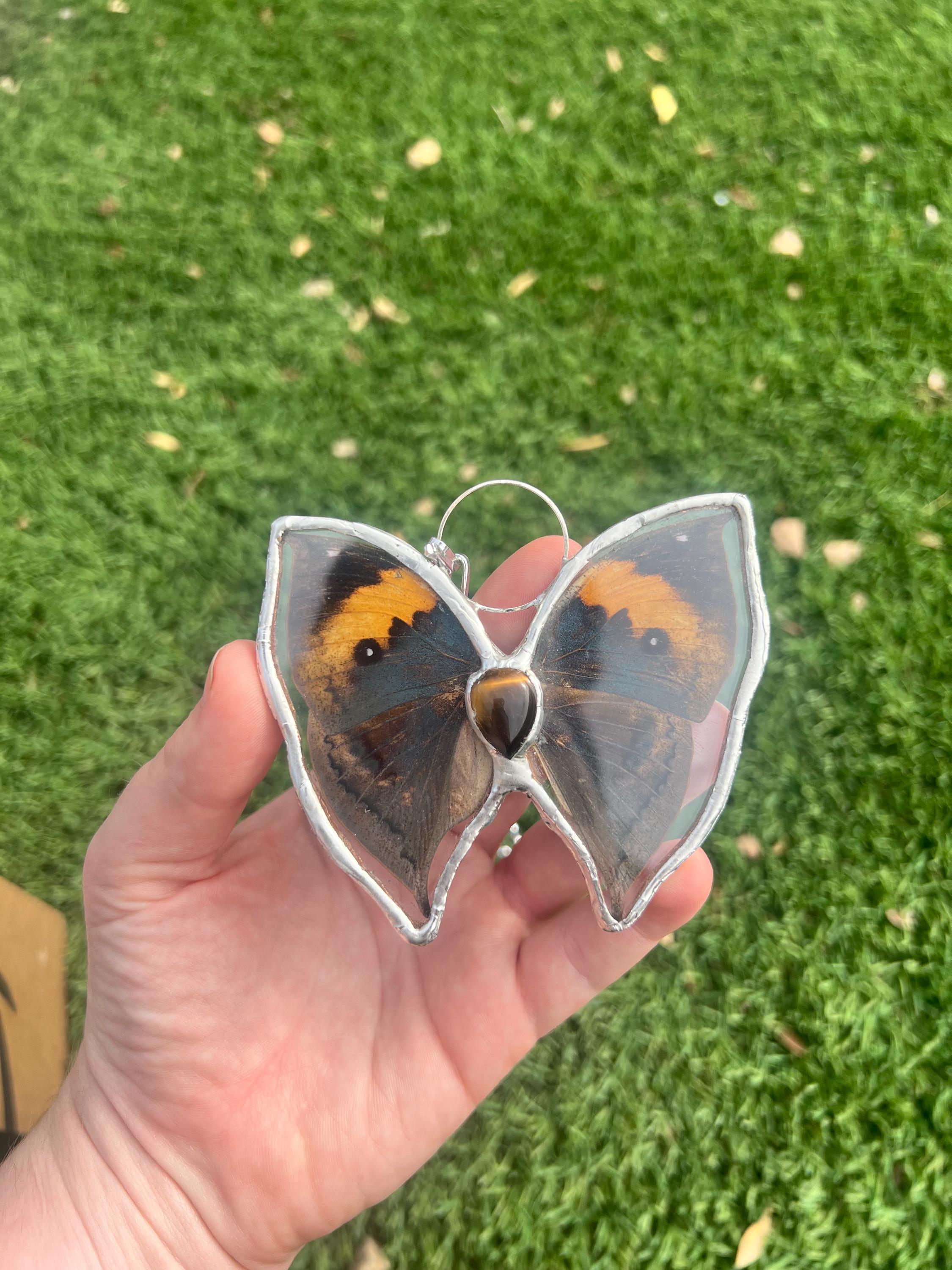 Reall Butterfly Wing Necklace - Etsy
