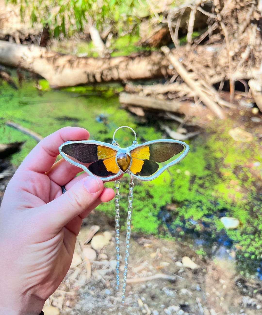 Cicada Wing Necklace - Etsy