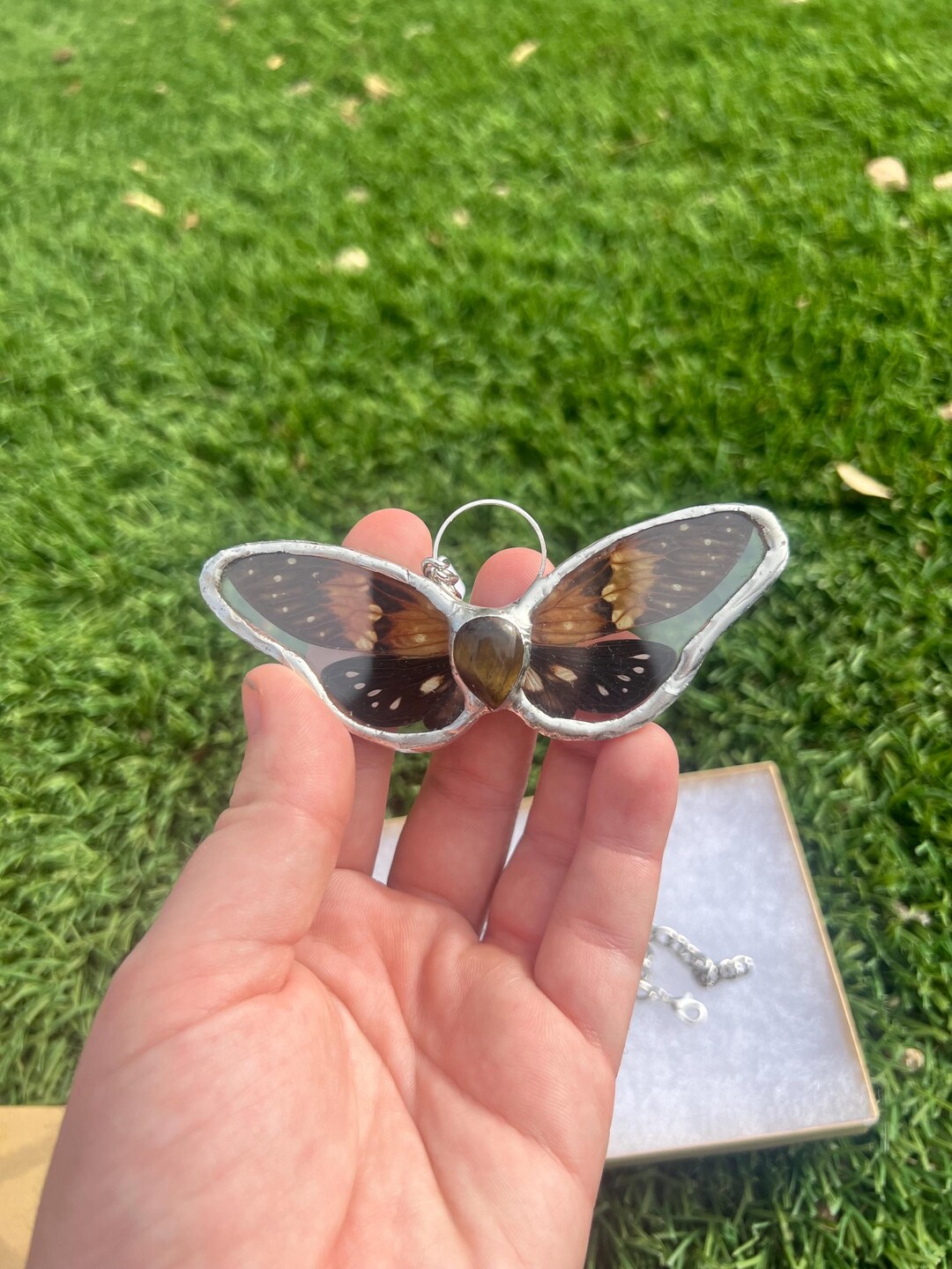 Cicada Wing Necklace - Etsy