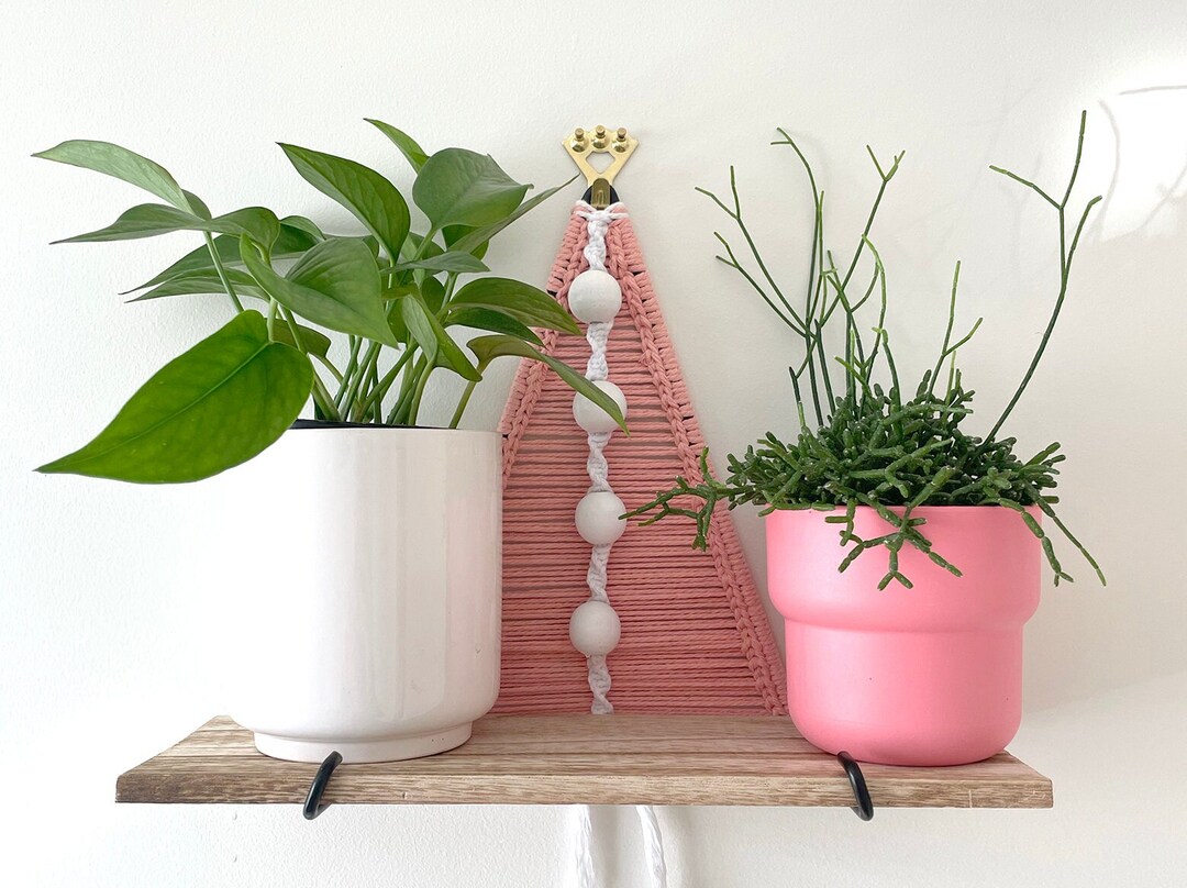 Modern Decorative Boho/macrame Style Plant Holder/shelf - Etsy