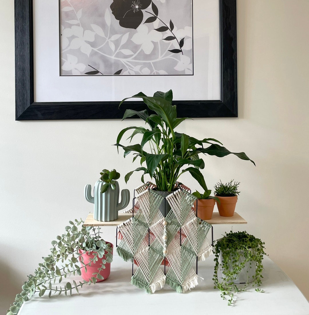 Modern Macrame Boho Style Plant Holder/shelf - Etsy