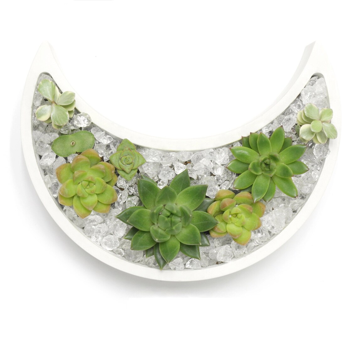 Silicone Mold for Half Moon - Etsy