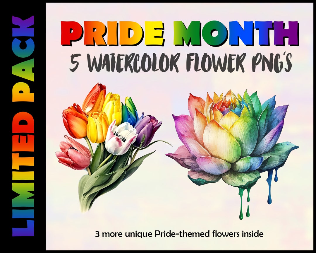 Limited Pride Pack, 5 Files, PNG, Pride Month, LGBTQA, Painting ...