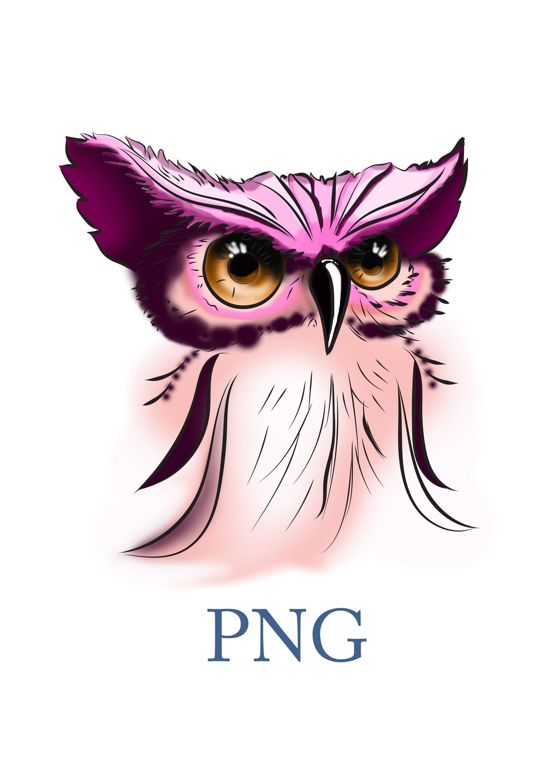 Owl Graphics PNG Owl Design SVG Handpainted Graphics Owl - Etsy Norway