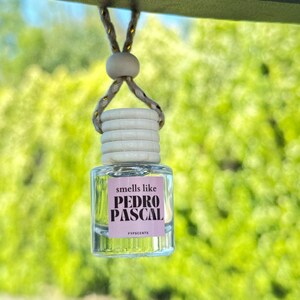 Car Diffuser, CUSTOM TEXT Car Air Freshener, Hanging Car Diffuser ...