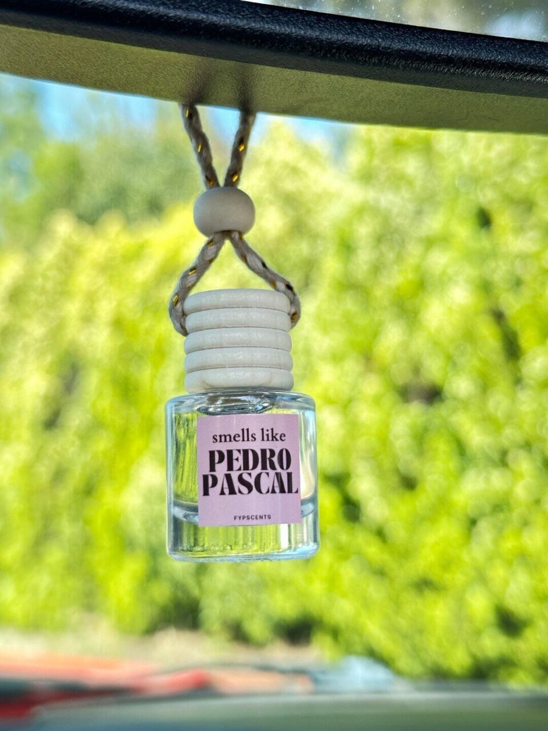 Smells Like Pedro Pascal Car Air Freshener, Hanging Car Diffuser, Pedro ...