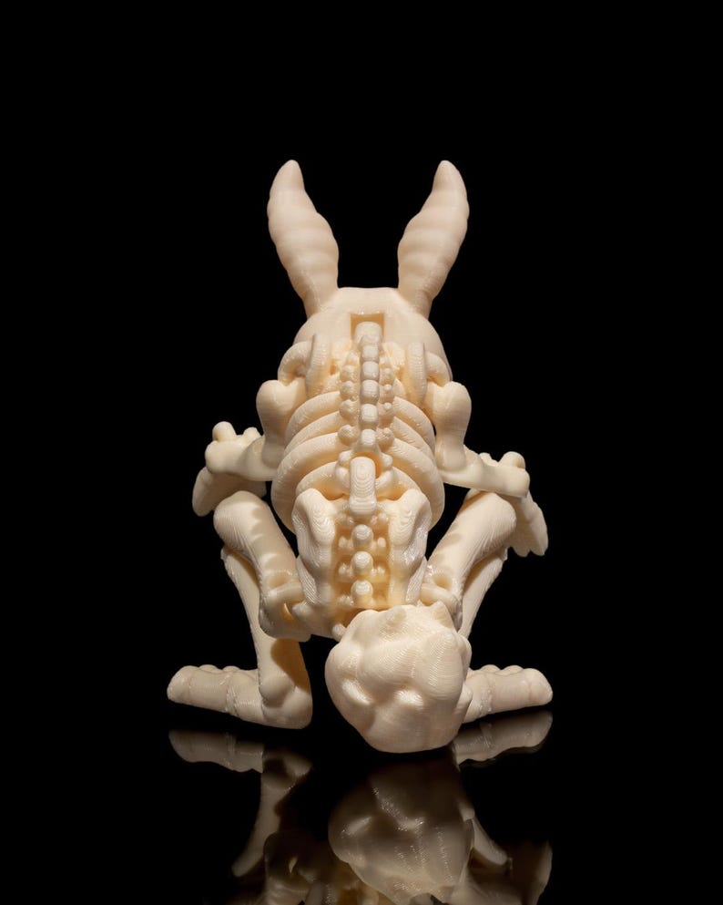 Hop Into the Spooky Season With Our Articulating Skeletal Bunny! - Etsy