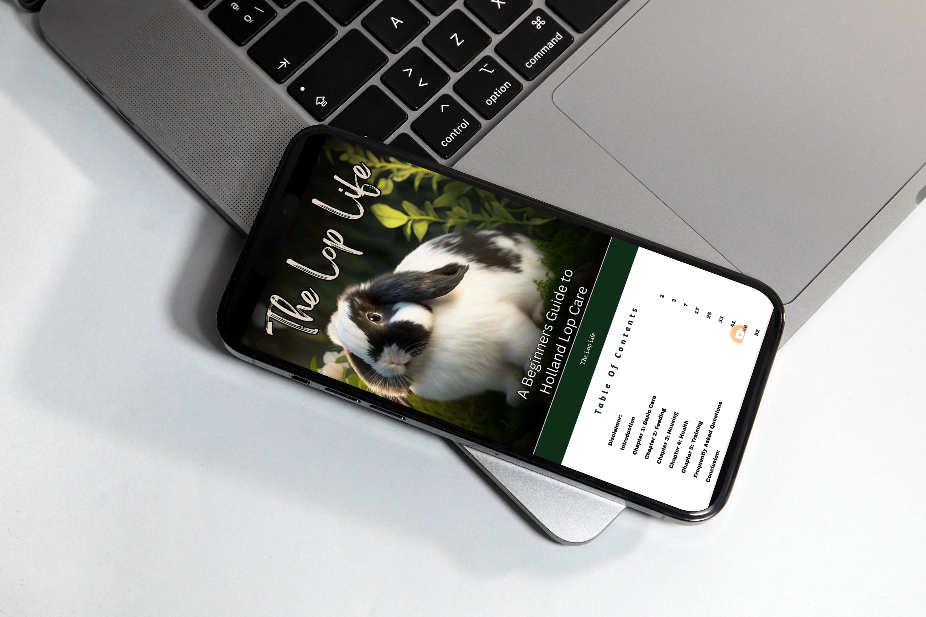 The Lop Life: A Beginner's Guide to Holland Lop Care - Etsy