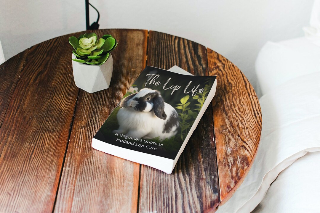 The Lop Life: A Beginner's Guide to Holland Lop Care - Etsy