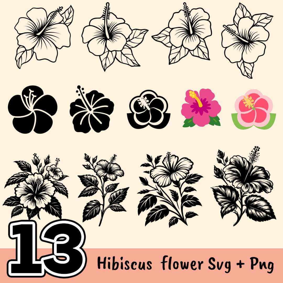 Hibiscus Svg, Hibiscus Flower Svg, Hibiscus Flower Png, Set of 13 - Etsy