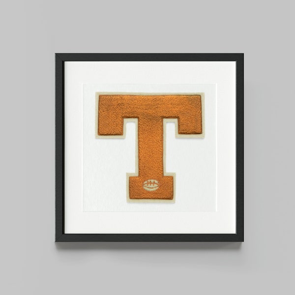 Texas Poster - Etsy