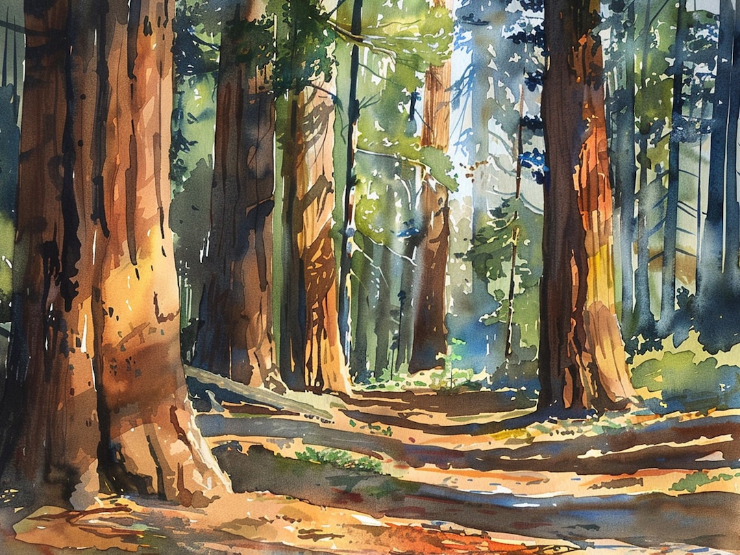 Sequoia National Park Painting Pine Trees Watercolor Artwork Redwood ...