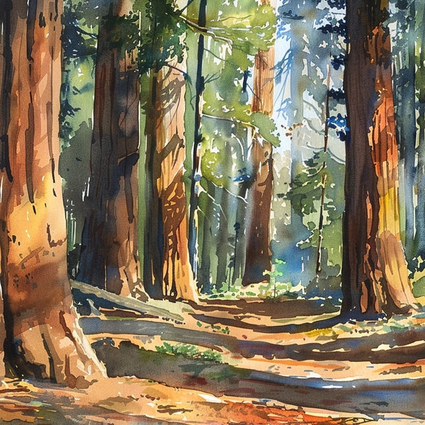 Redwood Tree Art - Etsy