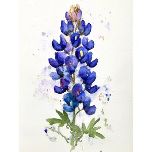 Bluebonnet Flower Watercolor Painting Flowers Watercolor Art Print ...
