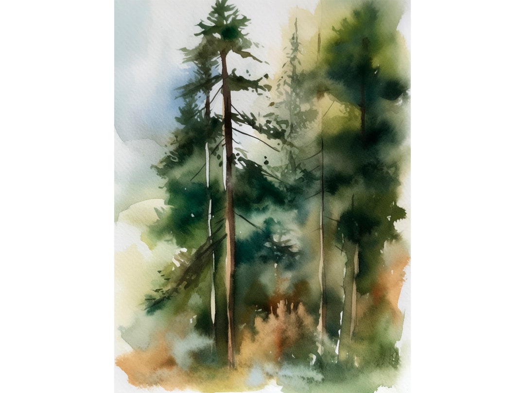 Pine Trees Art Print Evergreen Trees Watercolor Painting Acadia ...
