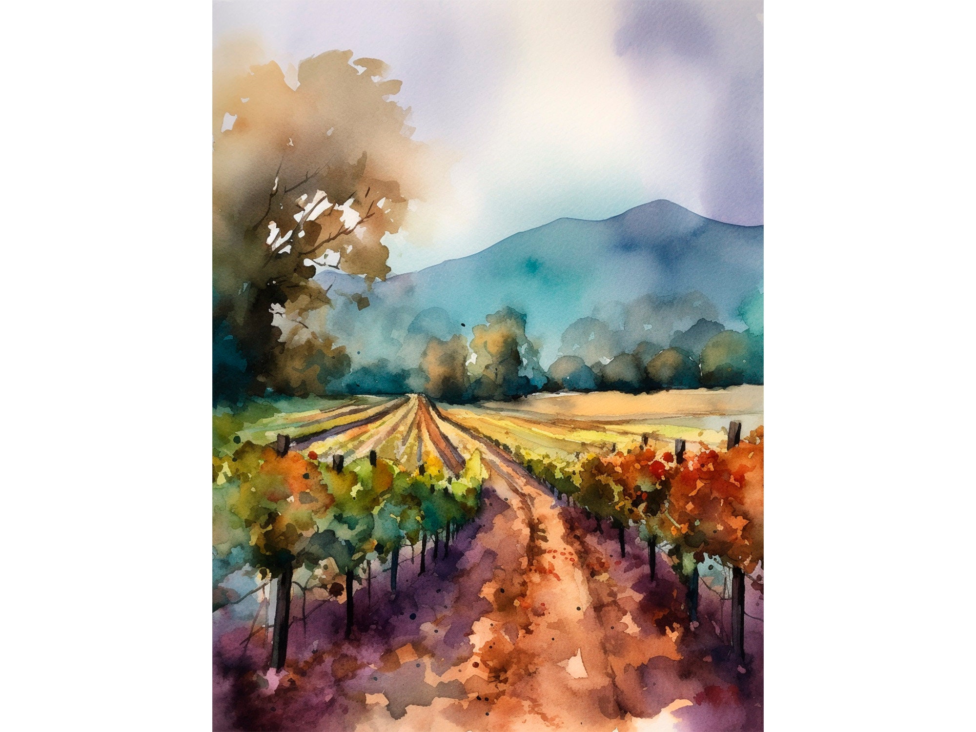 Sonoma Country Watercolor Art Print California Winery Painting Vineyard ...