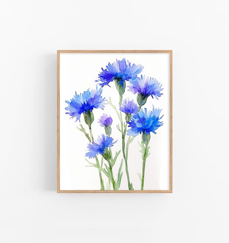 Cornflowers Watercolor Painting Flowers Watercolor Art Print Floral ...