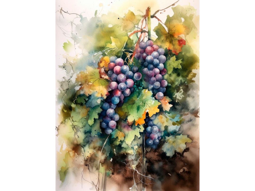 Grapes Watercolor Art Botanical Print Napa Valley Vineyard Artwork by ...