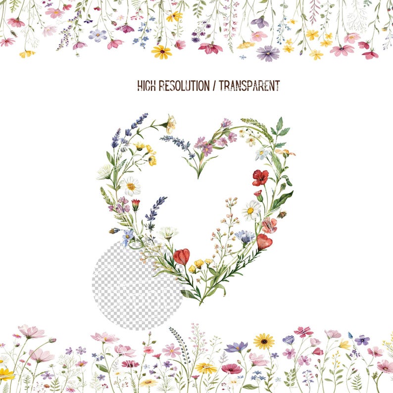 Wildflower Boho Flowers PNG Designs, Flowers PNG, Wildflowers Border ...