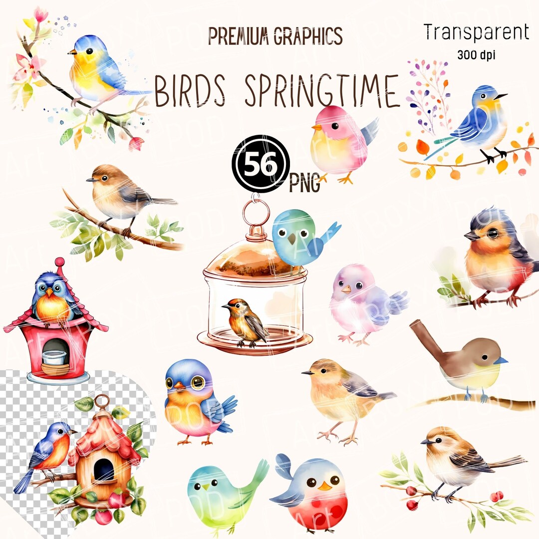 Bird Clipart Bundle, Spring PNG, Birds Decor Kids Arts, Kids Wall Art ...