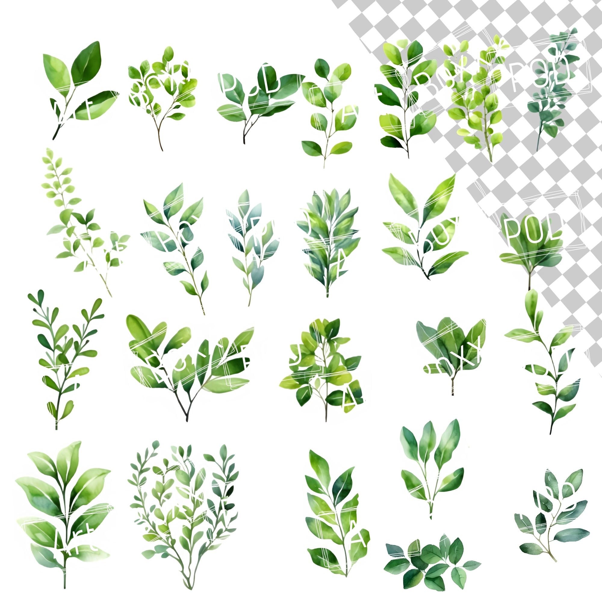 Watercolor Greenery Branches Overlay Digital Printable–commercial Use ...