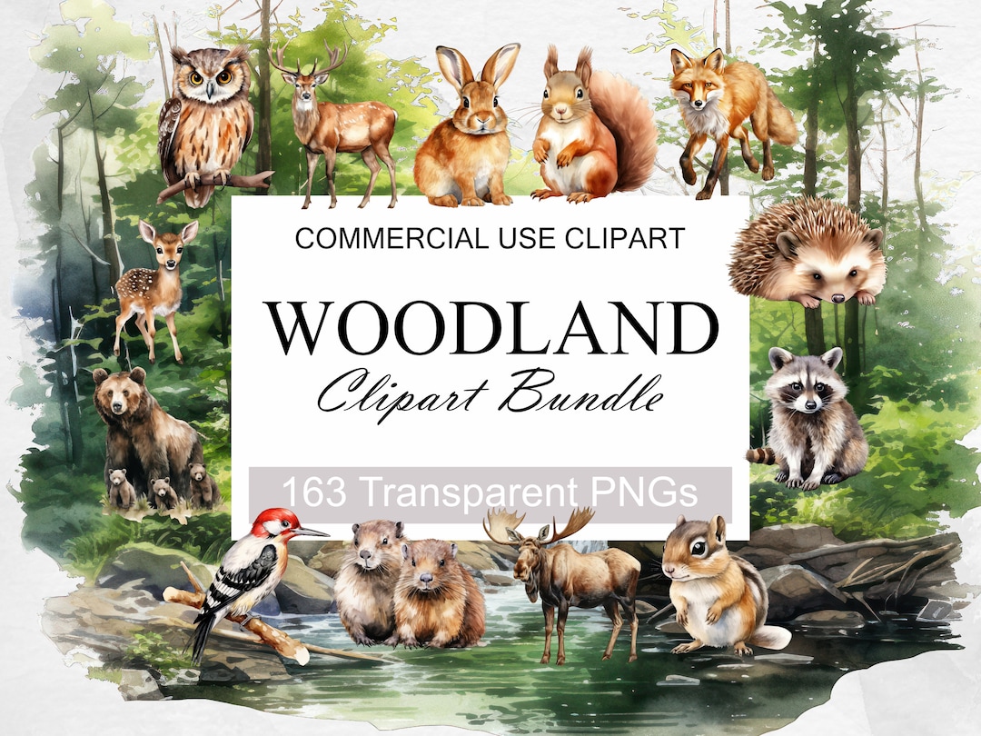 163 PNG Watercolor Woodland Animal Clipart, Woodland Nursery Decor ...