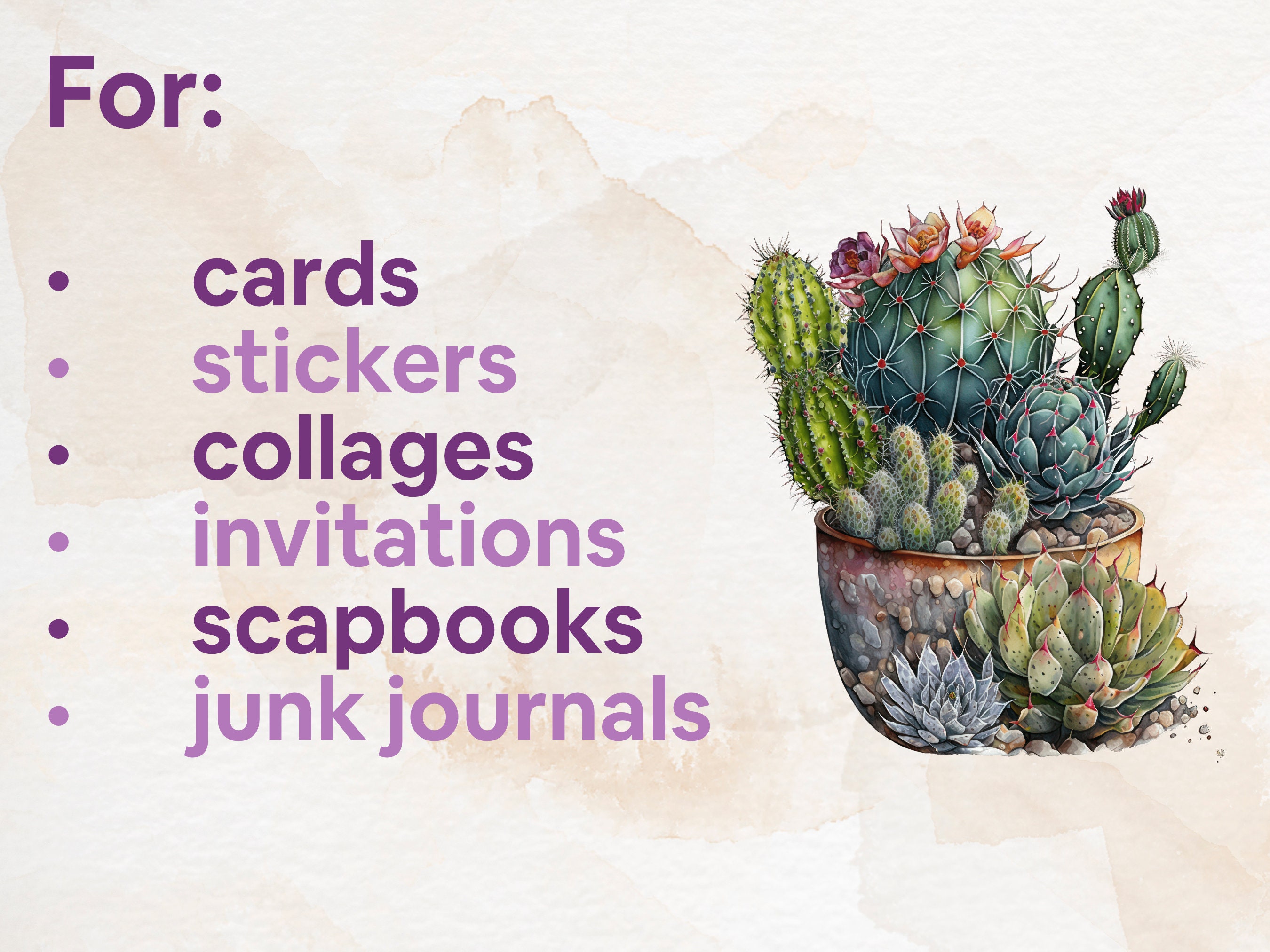 18 PNG Watercolor Cactus Clipart - Succulent Desert Cacti PNG Format ...
