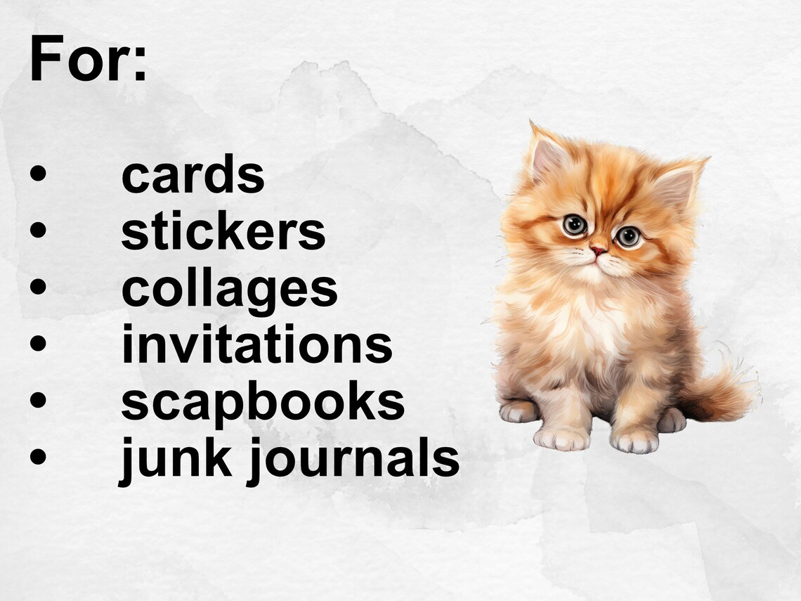 Cat Breeds PNG Bundle - 45 Cats Clipart Pngs Cats Clipart Animals ...