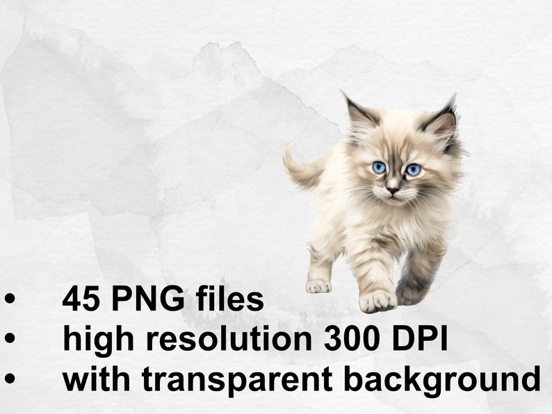 Cat Breeds PNG Bundle - 45 Cats Clipart Pngs Cats Clipart Animals ...