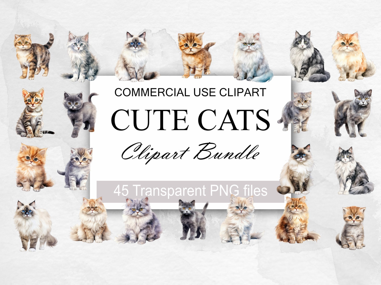 Cat Breeds PNG Bundle 45 Cats Clipart Pngs Cats Clipart Animals Clipart ...