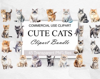 Cat Breeds PNG Bundle Cats Clipart Pngs, Cats Clipart, Animals Clipart ...