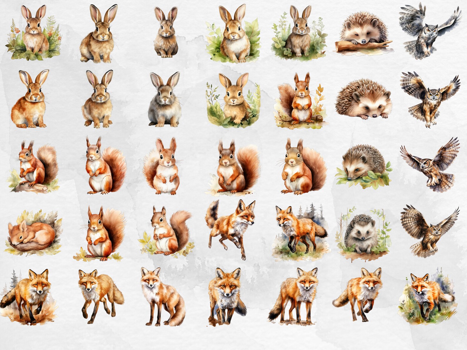 163 PNG Watercolor Woodland Animal Clipart, Woodland Nursery Decor ...