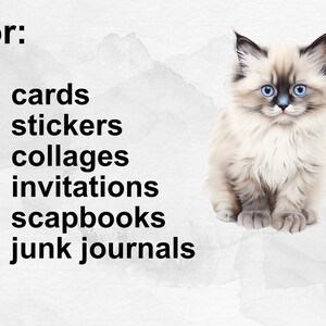Cat Breeds PNG Bundle - 21 Cats Clipart Pngs Cats Clipart Animals ...
