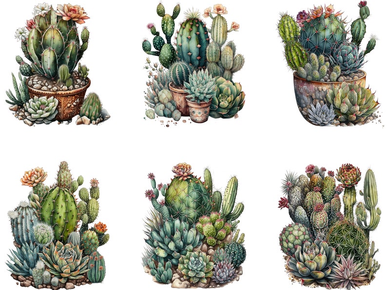 18 PNG Watercolor Cactus Clipart - Succulent Desert Cacti PNG Format ...