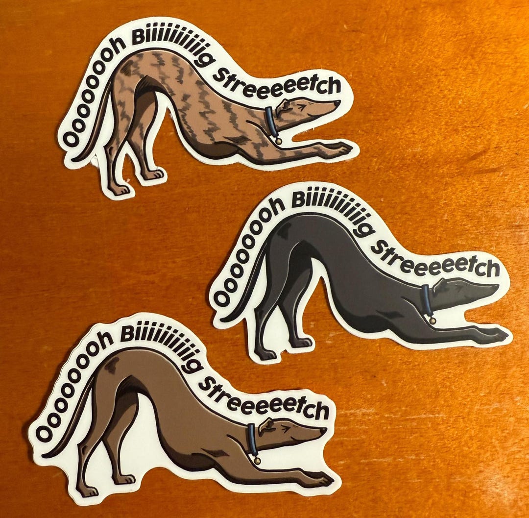 Big Stretch Dog Sticker Decal - Greyhound Whippet Galgo Lurcher - Etsy