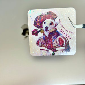 Wishbone Holographic-sparkle Vinyl Stickers - Etsy