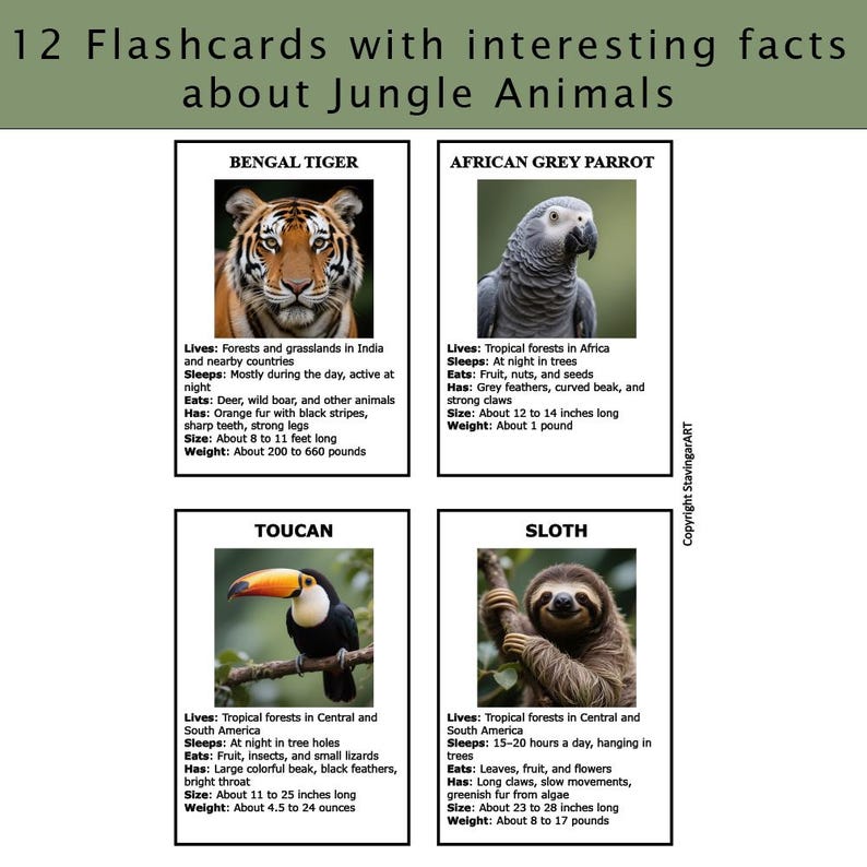 Jungle Animals Facts Flashcards | Realistic Images | Wildlife Learning ...
