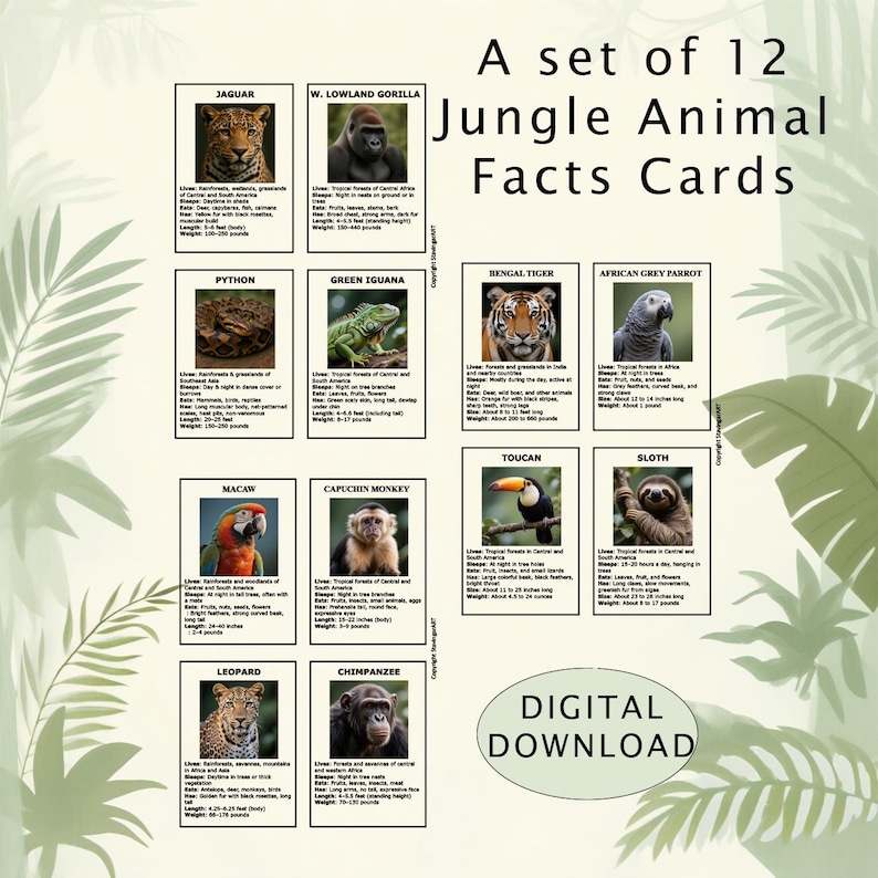 Jungle Animals Facts Flashcards | Realistic Images | Wildlife Learning ...