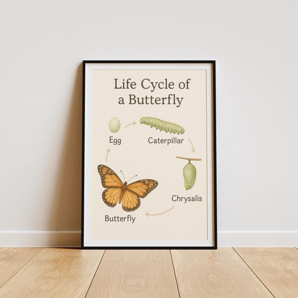 Butterfly Poster - Etsy