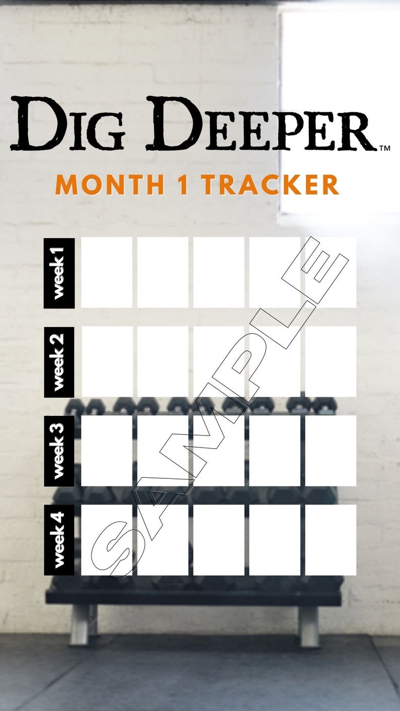 Dig Deeper Tracker | Shaun T Dig Deeper Bodi Program | Sweaty Selfie ...