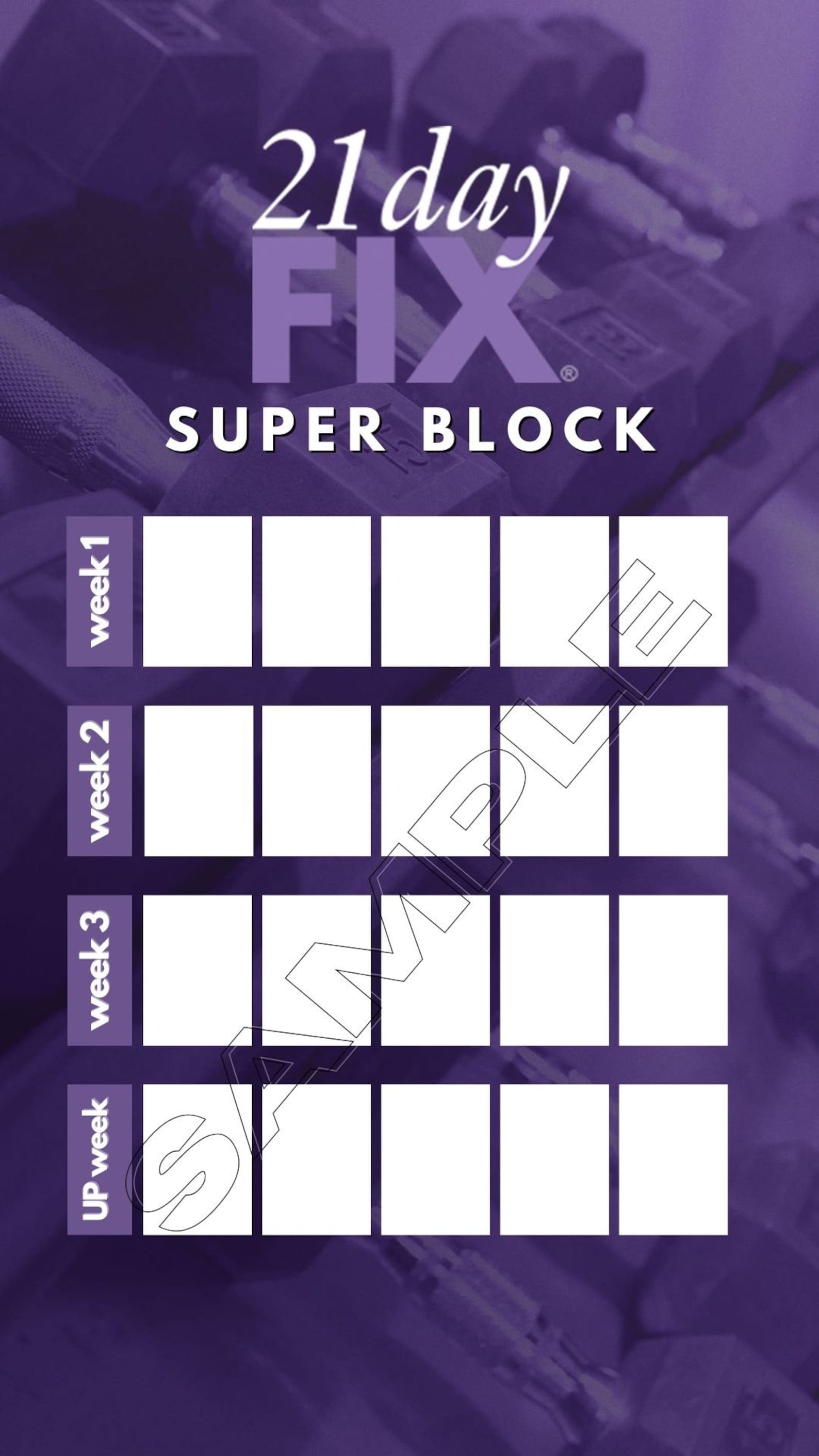 21 Day Fix Bodi Block