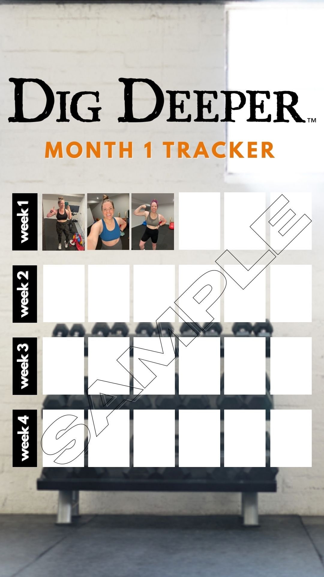 Dig Deeper Tracker | Shaun T Dig Deeper Bodi Program | Sweaty Selfie ... Dig Deeper Tracker | Shaun T Dig Deeper Bodi Program | Sweaty Selfie ...