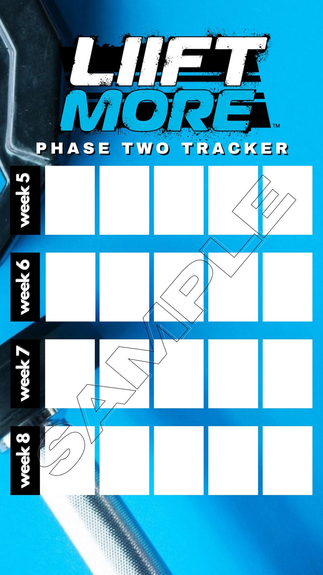 LIIFT More Tracker | Lift More Joel Freeman Bodi Program | Sweaty ...