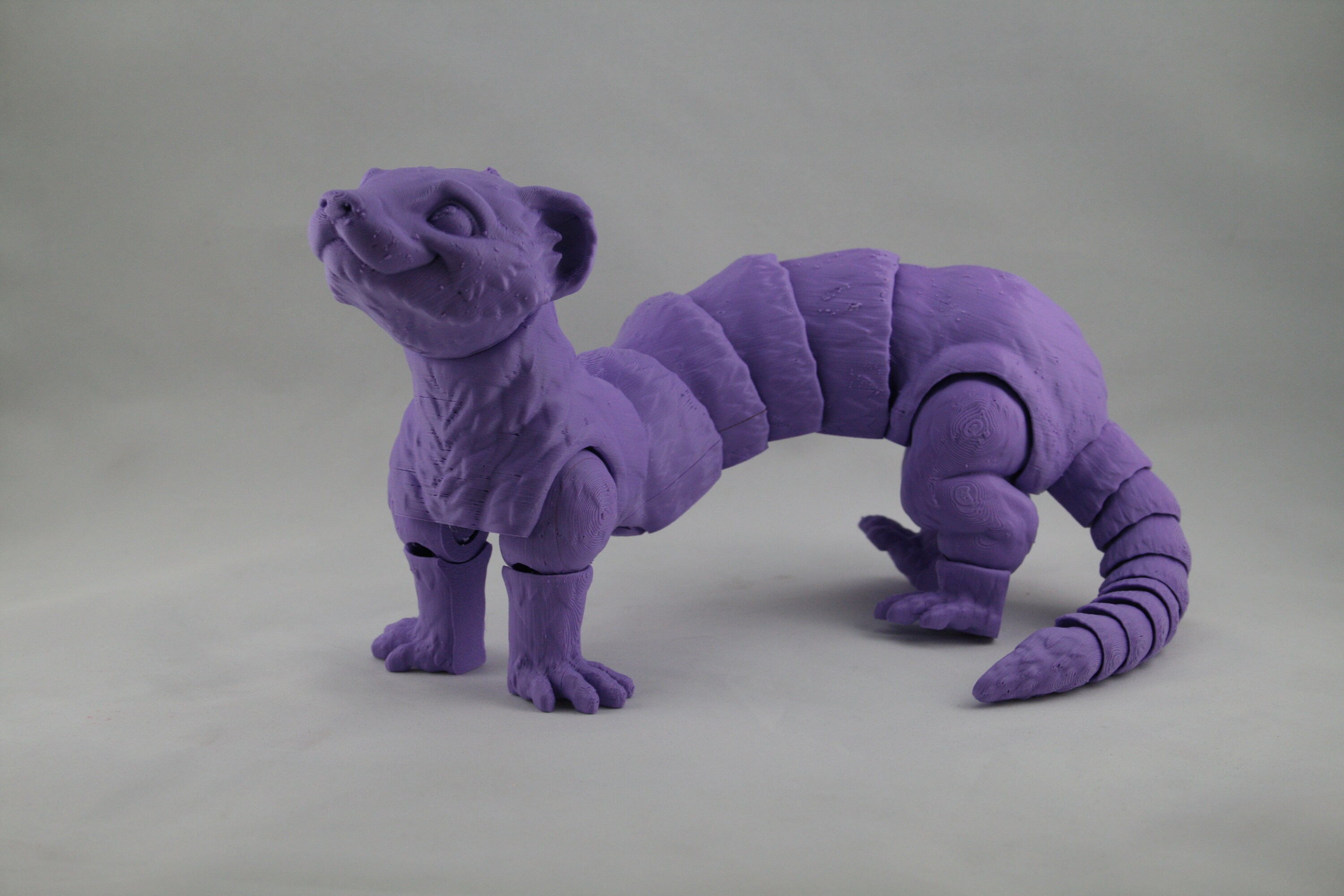 Articulated Ferret Fidget Toy 3d Printed - Etsy