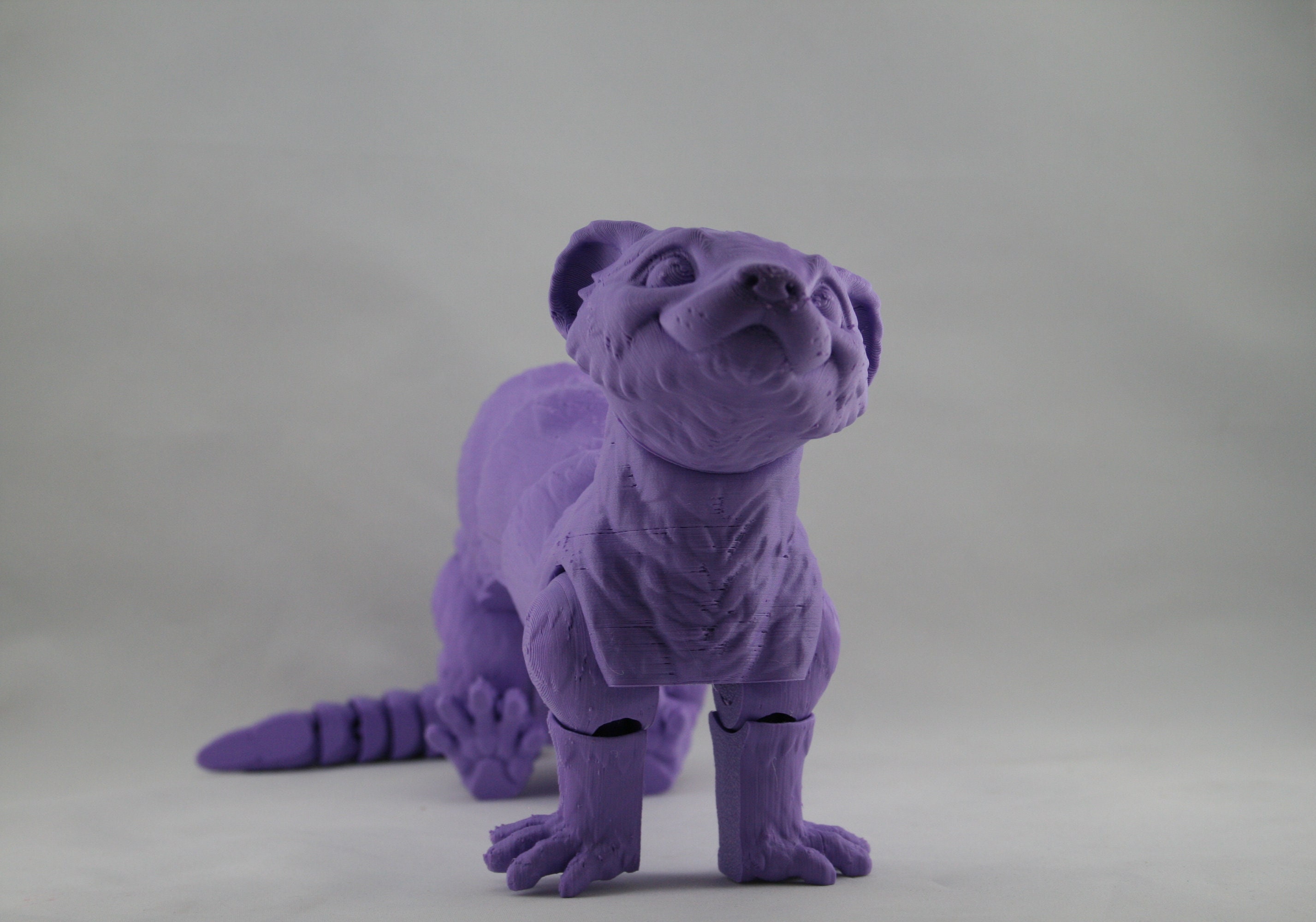 Articulated Ferret Fidget Toy 3d Printed - Etsy