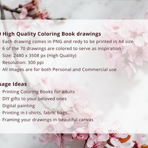 Mega Bundle Beautiful Girls & Animals 70 Coloring Pages for - Etsy
